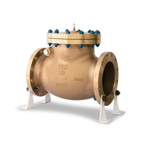 Check Valve - Oil & Gas Valves Supplier Middle East & Southeast Asia ...
